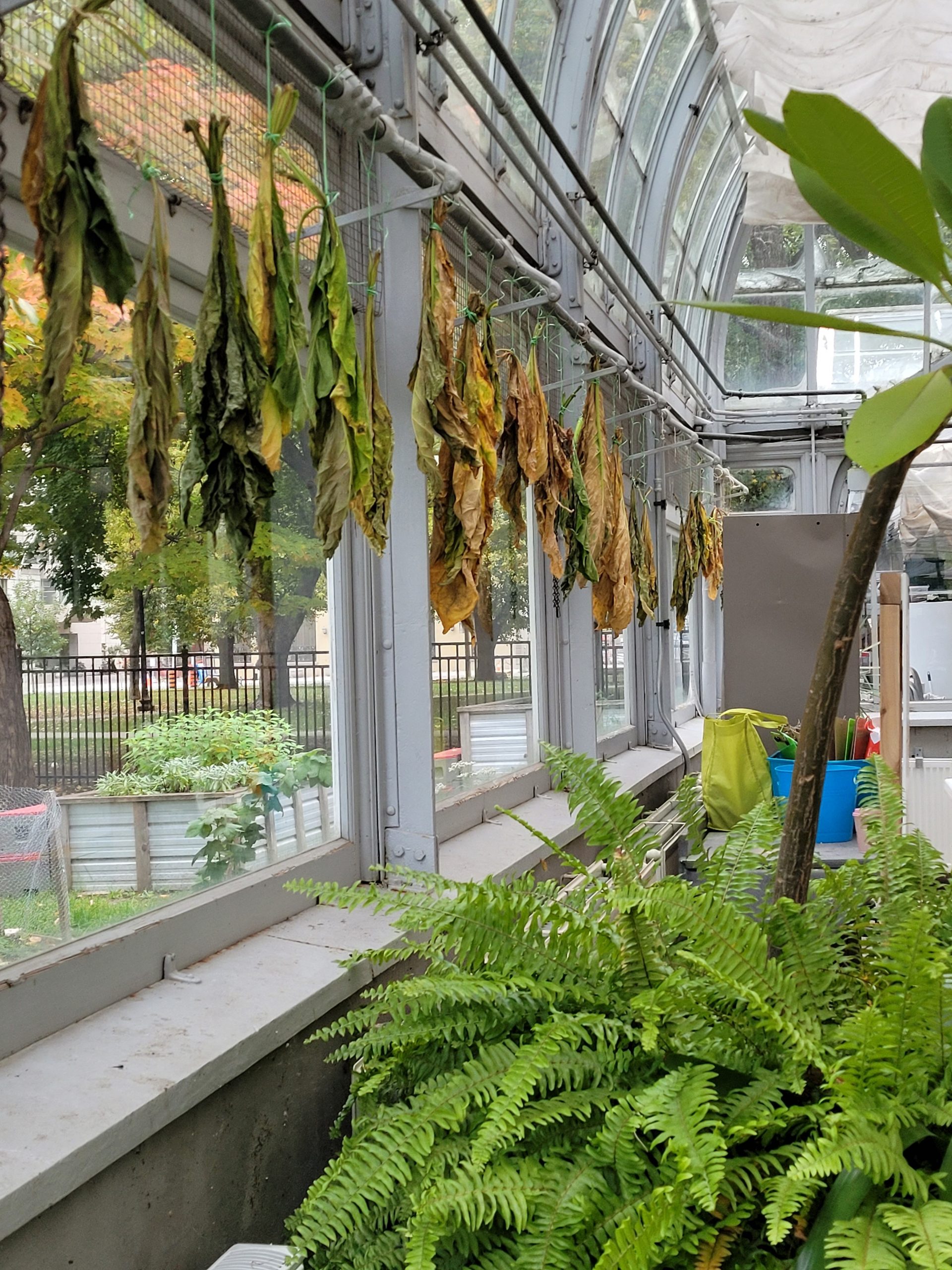 2022 TYRMC Powley Day Celebration - Toronto & York Region Métis Council