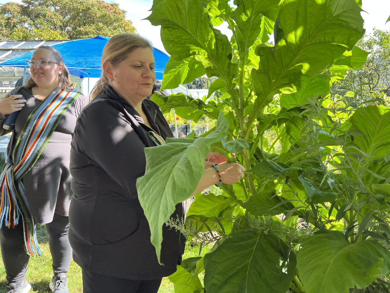 2022 TYRMC Powley Day Celebration - Toronto & York Region Métis Council
